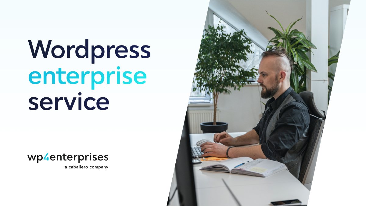 WordPress Emergency Problem Solving - WP Emergency service